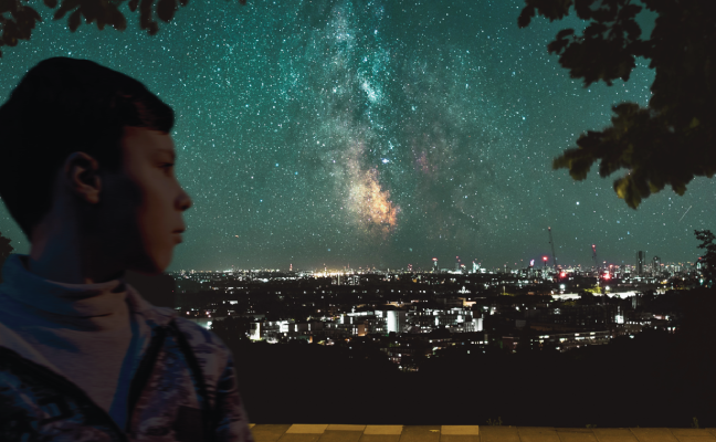 Press – VICKI REED