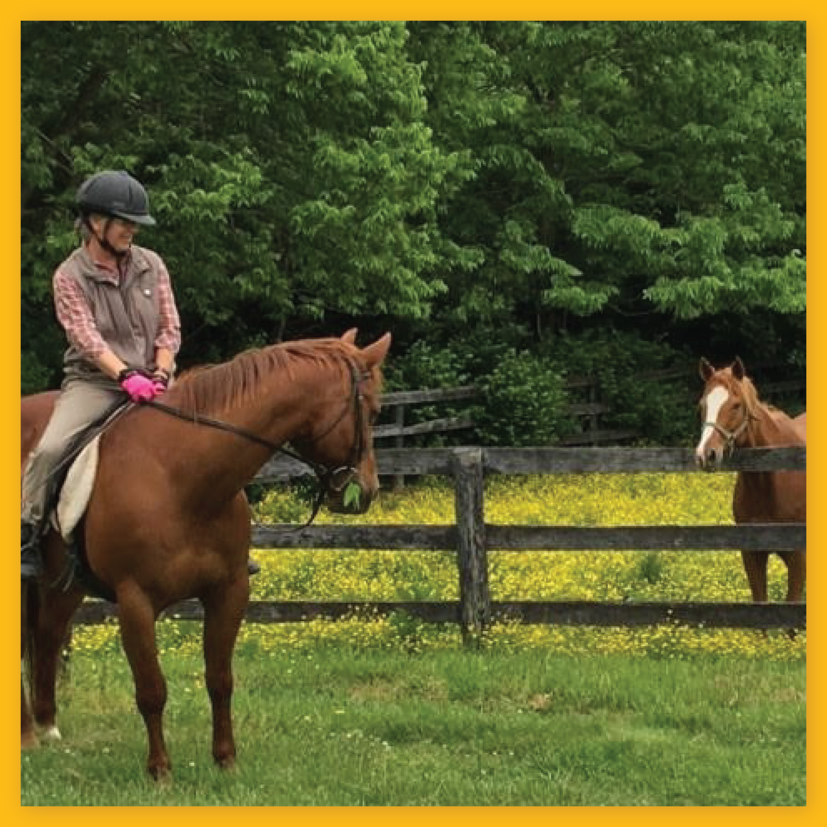 About Vicki Reed – VICKI REED